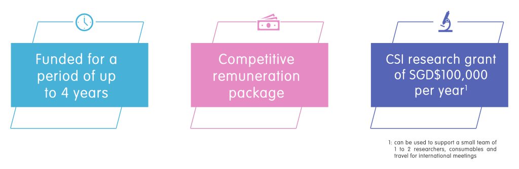 CSI Special Fellows Program - NUS CSI