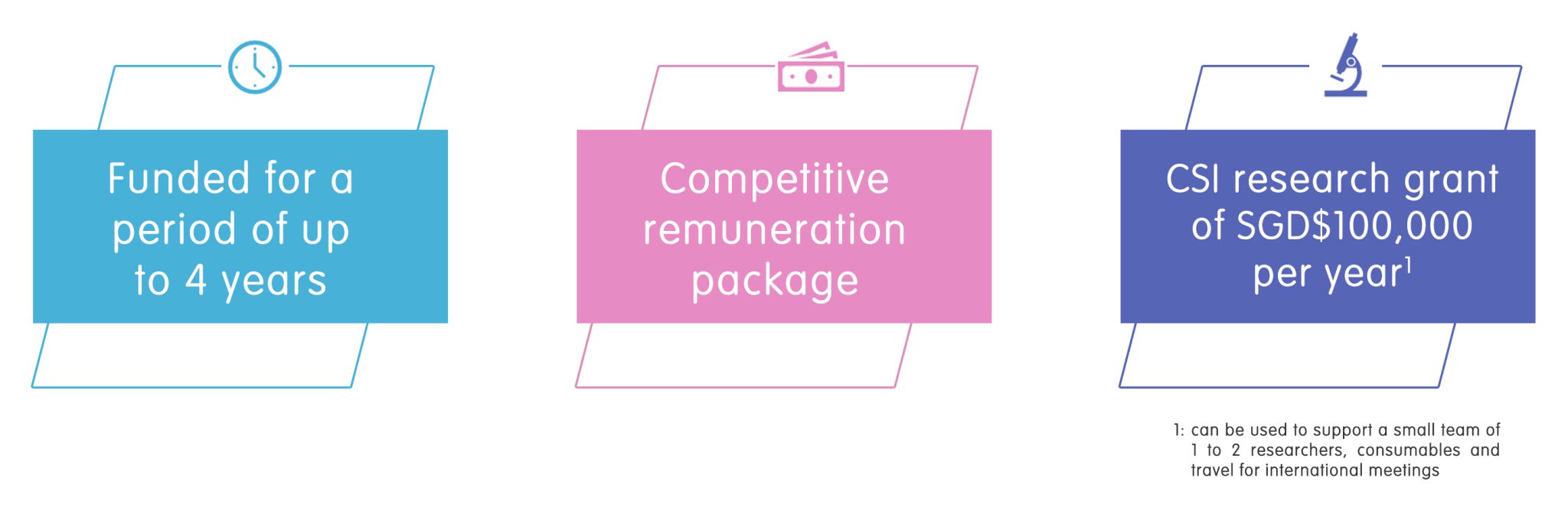 CSI Special Fellows Program - NUS CSI