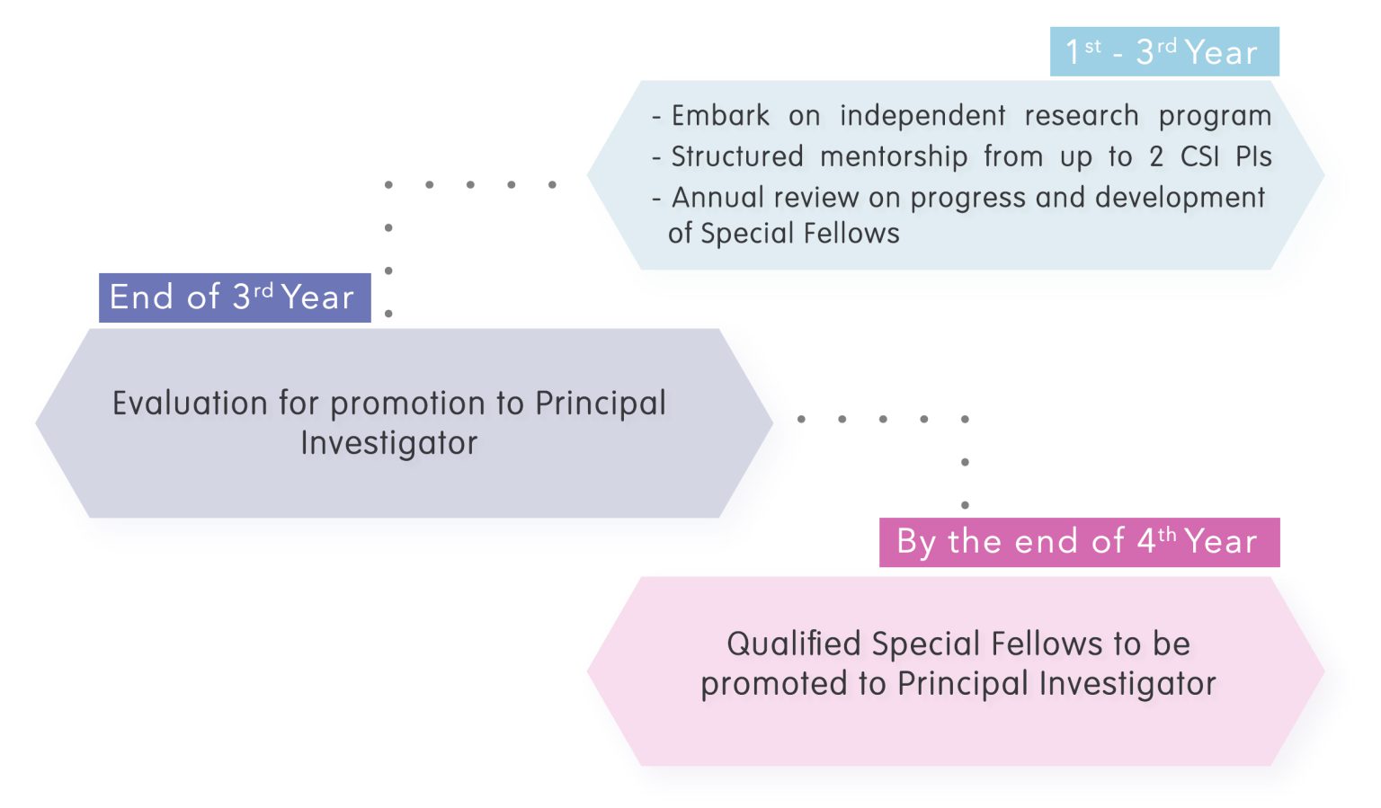 CSI Special Fellows Program - NUS CSI