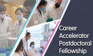 Training Program - NUS CSI