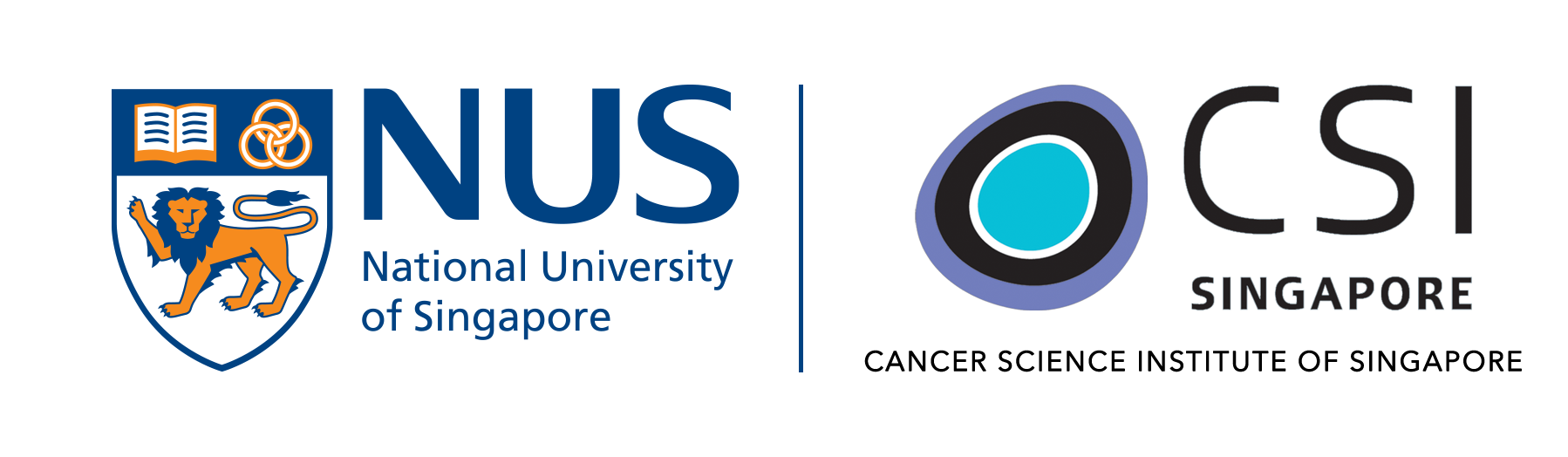 FCS - NUS CSI