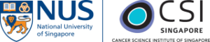 Home - NUS CSI