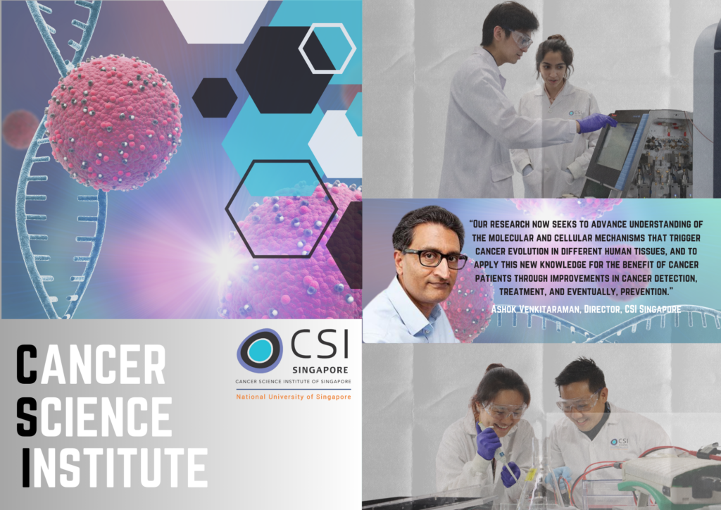 Research - NUS CSI