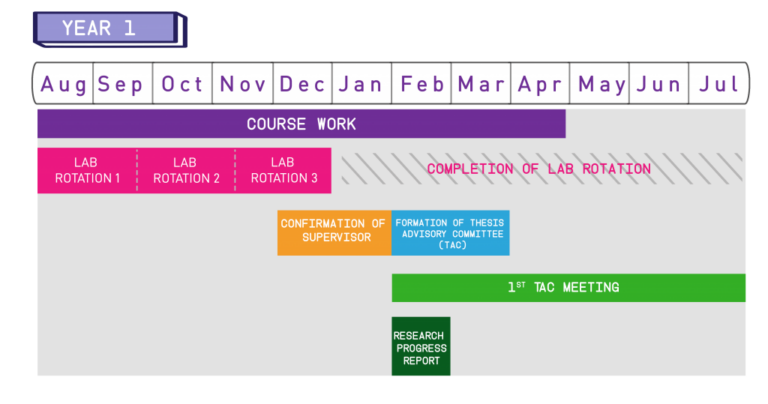 For Current Graduates - NUS CSI