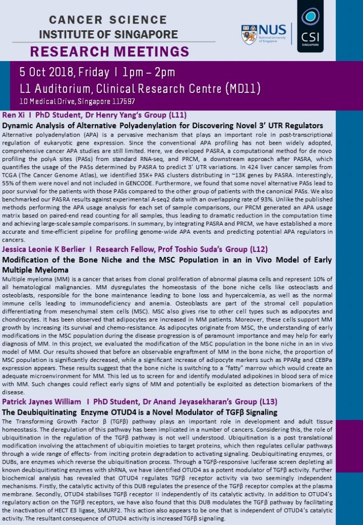 CSI Research Meeting - 5 Oct - NUS CSI