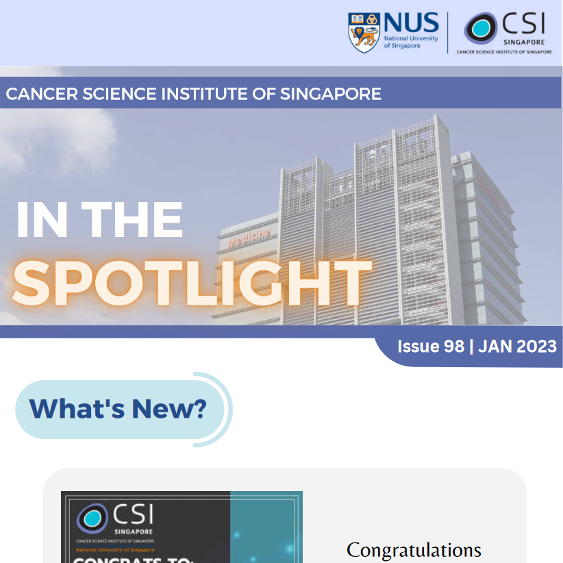 Newsletter - NUS CSI