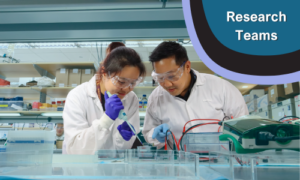 Our Research - NUS CSI