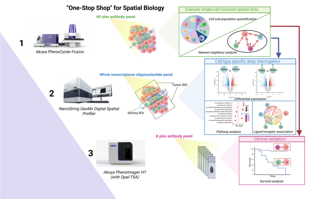 Spatial Biology Core (SBC) - NUS CSI
