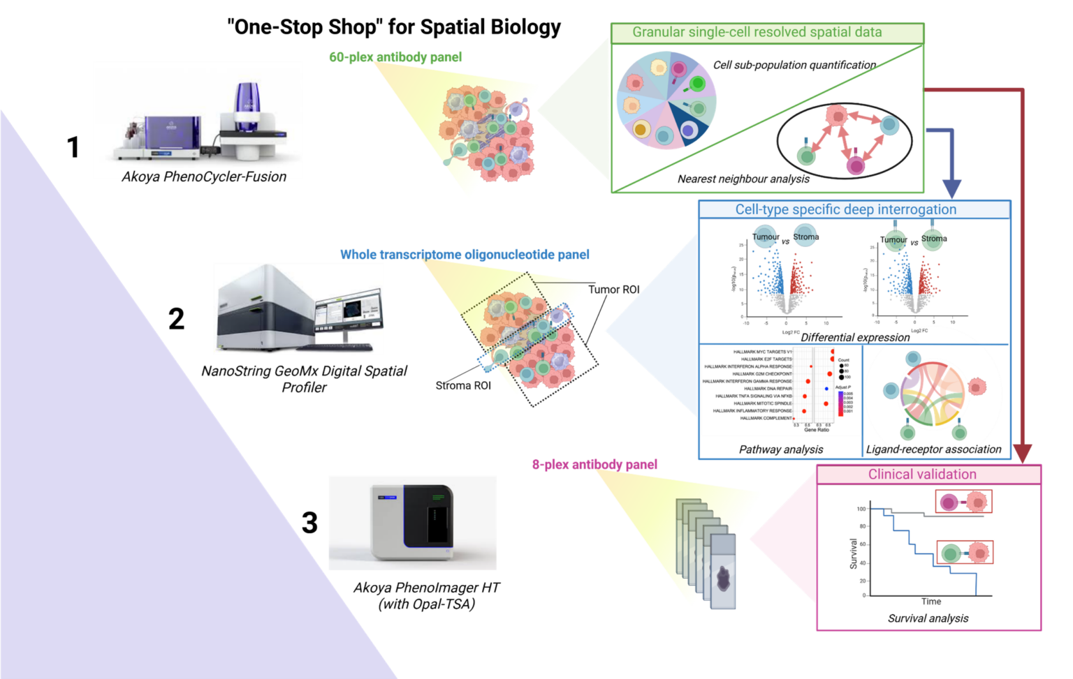 Spatial Biology Core (SBC) - NUS CSI