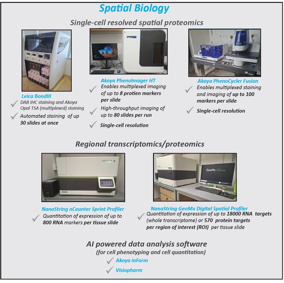 Spatial Biology Core (SBC) - NUS CSI