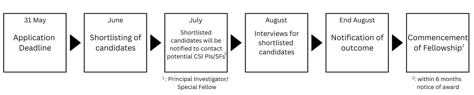 CSI Postdoctoral Fellowship - NUS CSI